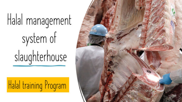 Halal management system of slaughterhouse - Halal